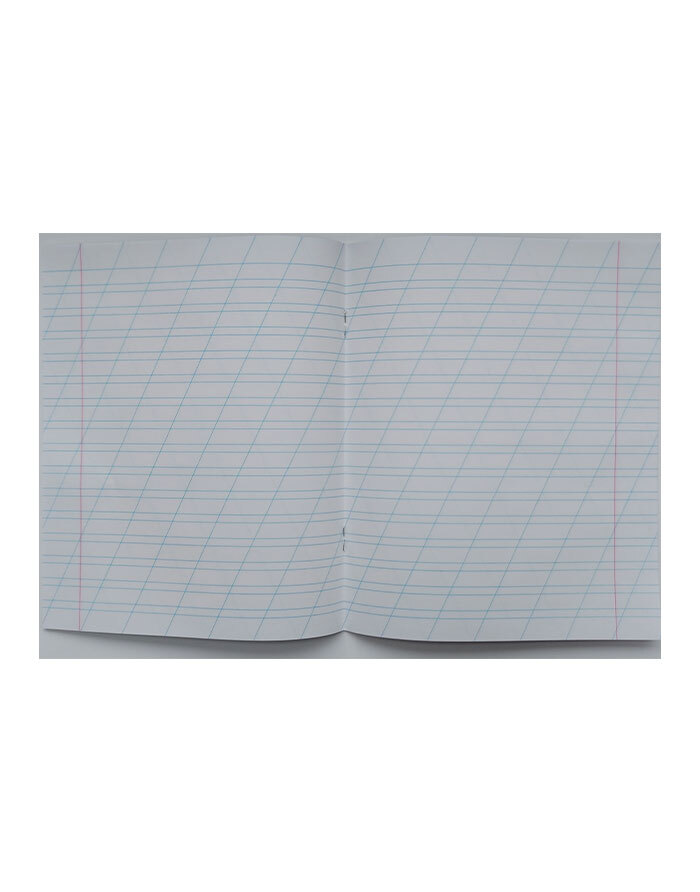 Caiet A5 12file linii oblica COLORATE