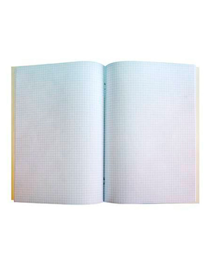 Registru A4 48file patratele