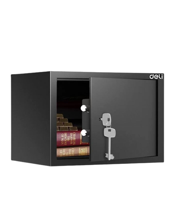 Safeu metalic DELI T562 250х350х250mm